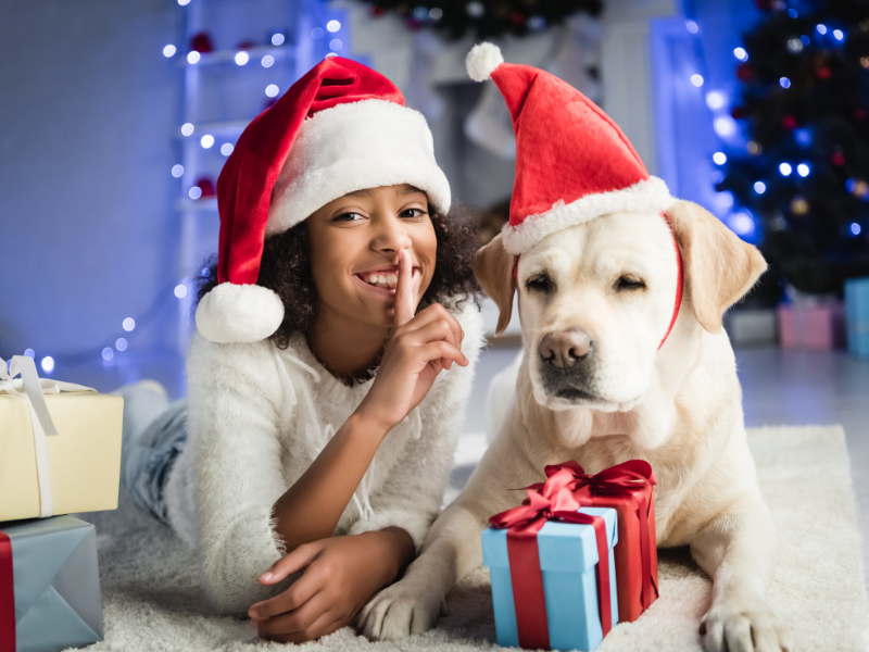 Best Secret Santa Gifts That Go Beyond Ordinary: Dessie® Conversation ...